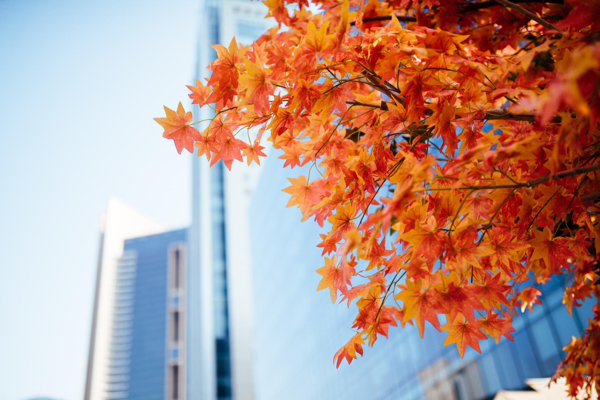 Use our Facilities Management framework to get your sites ready for ...