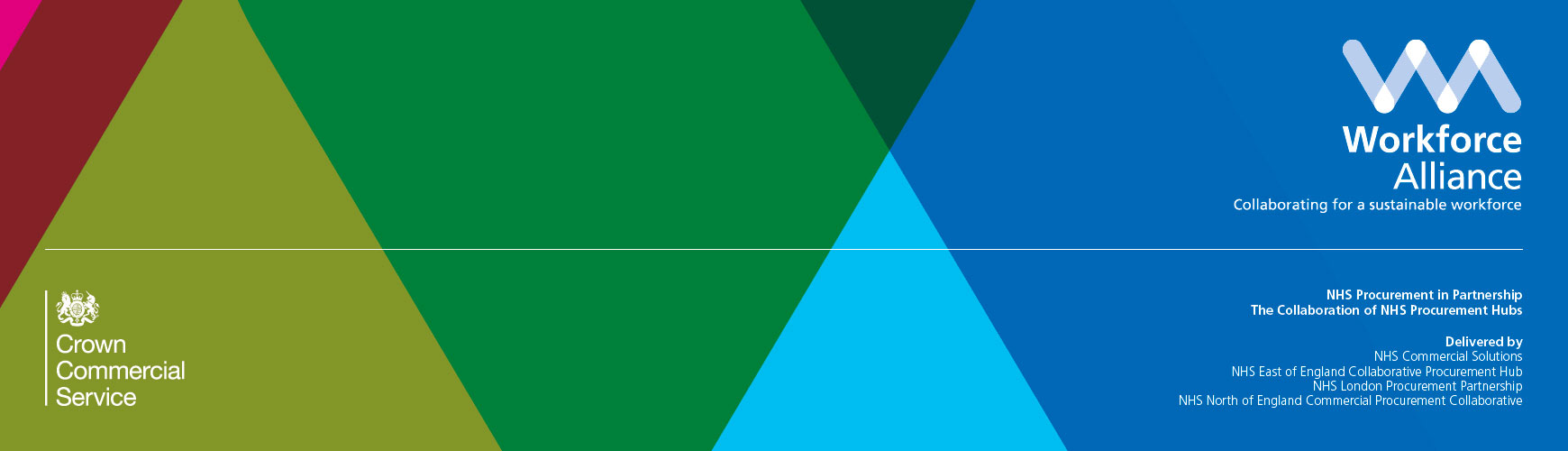 Workforce Support frameworks - CCS